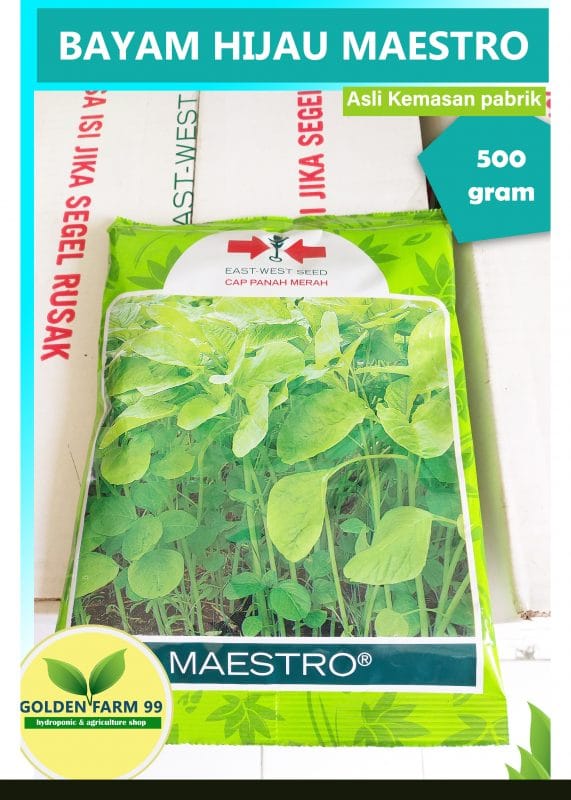 Benih Bayam Hijau Maestro 500 Gr Cap Panah Merah – Store Golden Farm 99