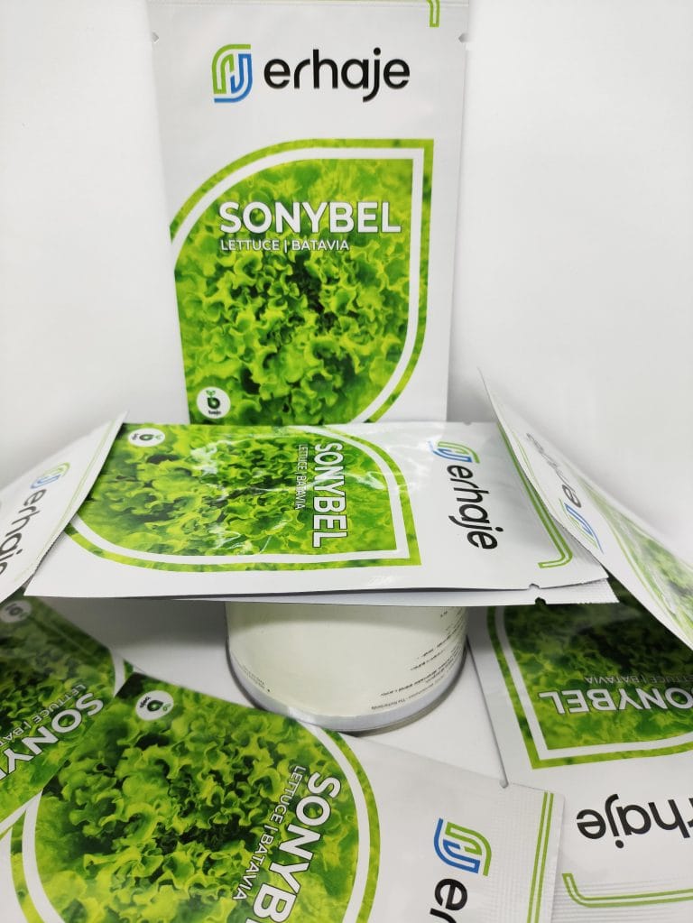 Benih Selada Sonybel Tipe Batavia - Bejo Seed