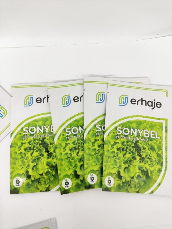 Benih Selada Sonybel Tipe Batavia - Bejo Seed