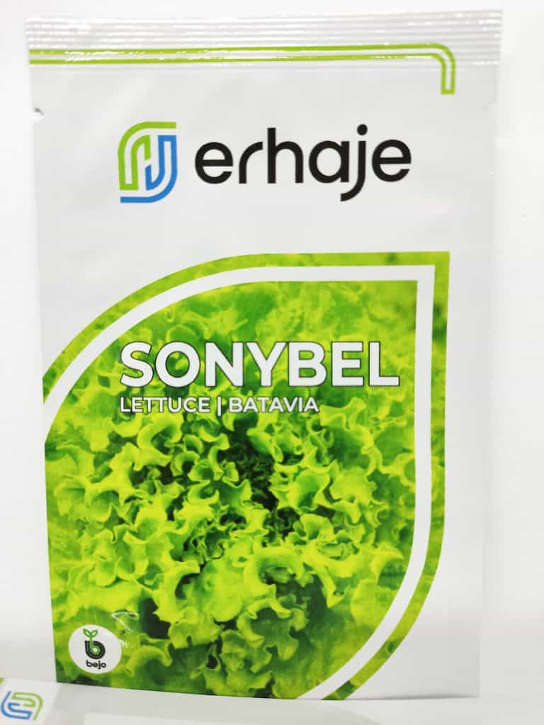 Benih Selada Sonybel Tipe Batavia - Bejo Seed