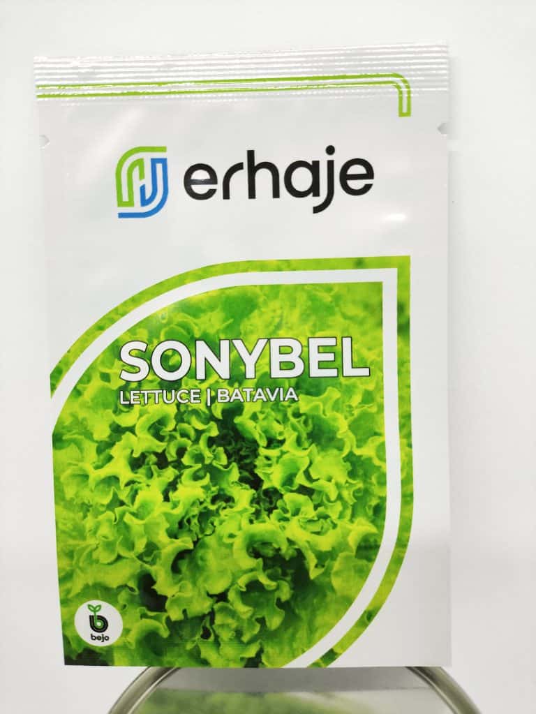 Benih Selada Sonybel Tipe Batavia - Bejo Seed