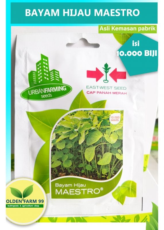Benih Bayam Hijau Maestro Cap Panah Merah – Store Golden Farm 99
